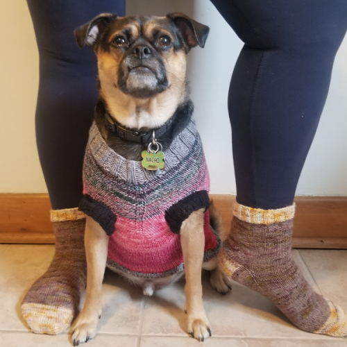 Adore You – Free Socks and Dog Sweater Pattern | Craftopia Collective