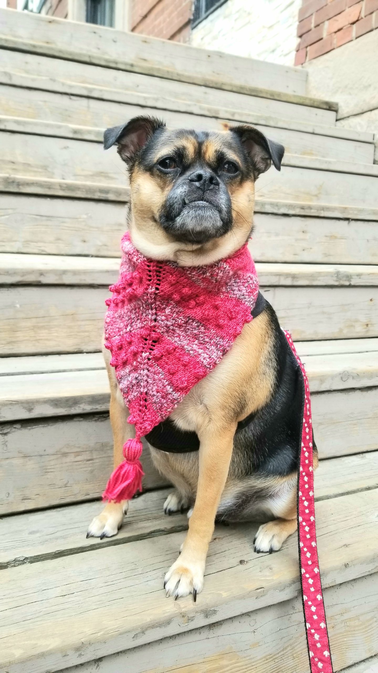 🎉 Free Patterns | Craftopia Collective